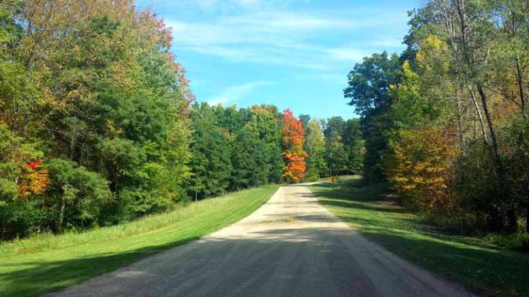 Michigan Driving School